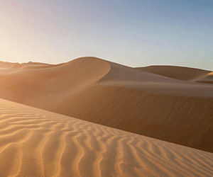 Running your business | ABTA